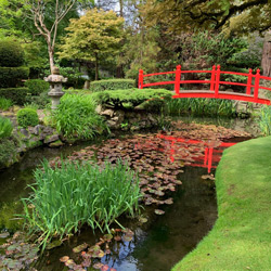 Bluewater Destinations | Travel Agents | Destinations