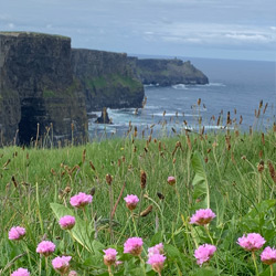 Bluewater Destinations | Travel Agents | Destinations