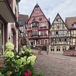 Bluewater Destinations | Travel Agents | Destinations